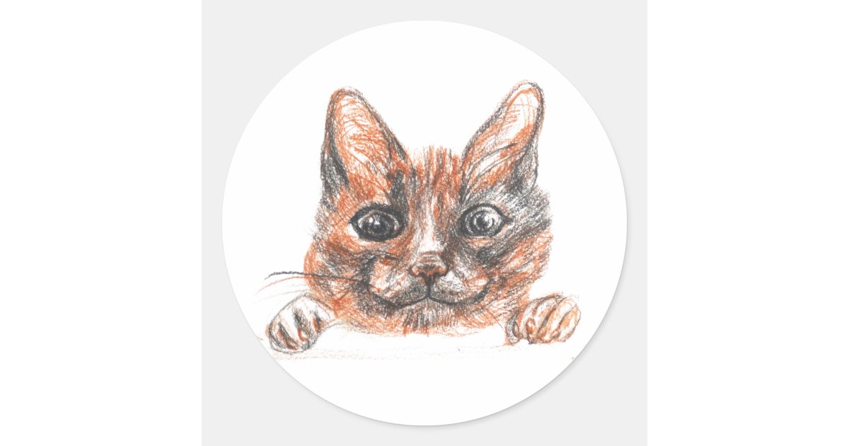 Cat Drawing Classic Round Sticker, Glossy Classic Round Sticker | Zazzle