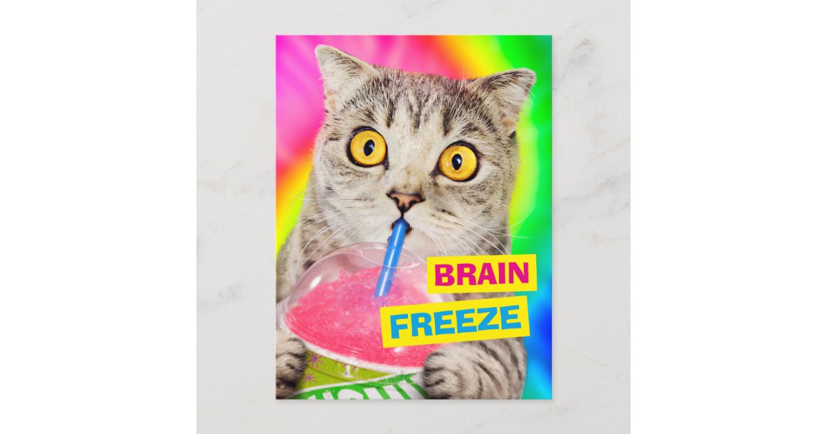 Cat Drinking Slushie Invitation Postcard | Zazzle