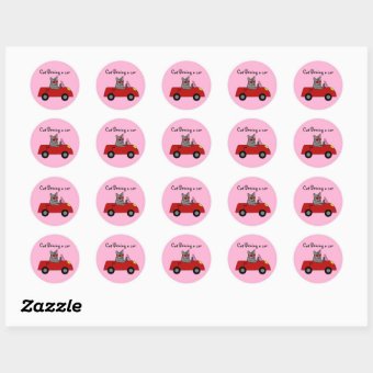 Cat driving a car sticker | Zazzle