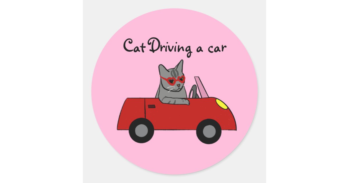 Cat driving a car sticker | Zazzle