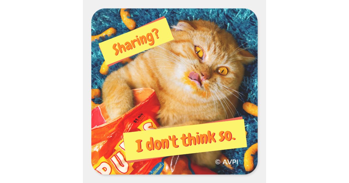 Cat Eating Cheese Puffs Square Sticker | Zazzle