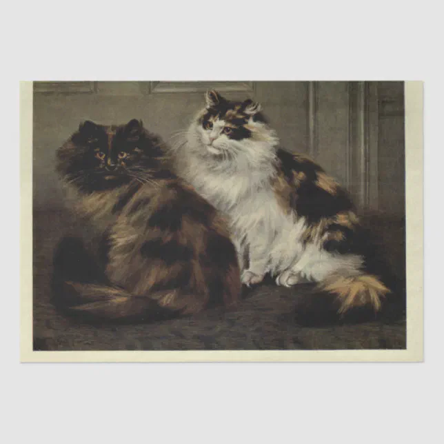 Cat Ephemera Decoupage Tortoiseshell Black White Tissue Paper | Zazzle