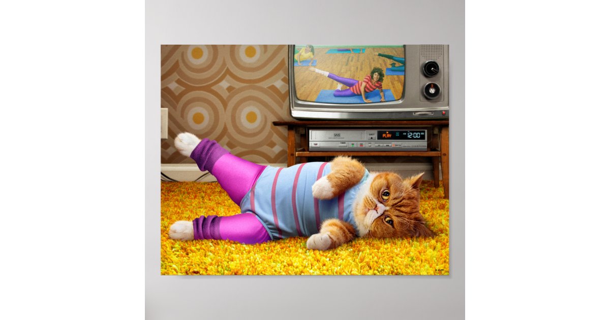 Cat Exercising Poster | Zazzle