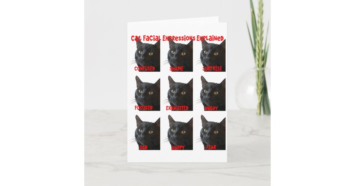 Cat Facial Expressions Explained Chart Cut Out Card | Zazzle