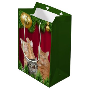 Cat family Christmas Medium Gift Bag | Zazzle