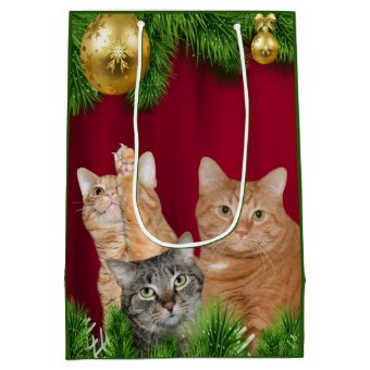 Cat family Christmas Medium Gift Bag | Zazzle