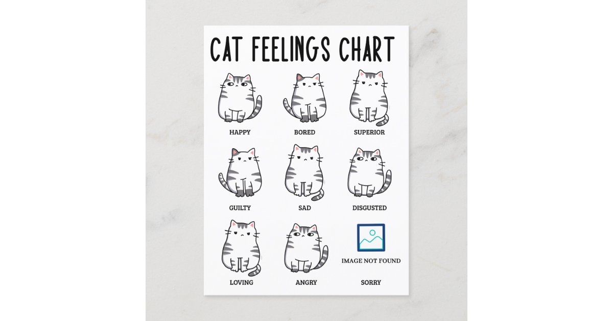Cat Feelings Chart Postcard | Zazzle