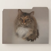 Cat File Folders | Zazzle