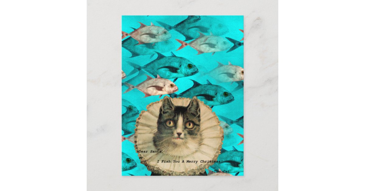 Cat Fish You Digital Collage Postcard | Zazzle