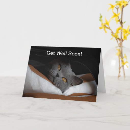 Cat Get Well Soon Customizable Card | Zazzle