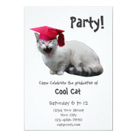 Cat Party Invitations - The Best Of Invitations