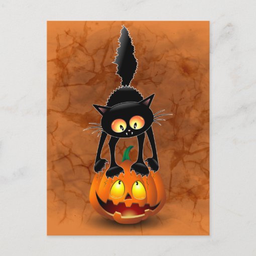 Cat Halloween Scared Cartoon on Pumpkin Postcard | Zazzle