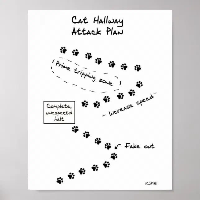 Cat Hallway Attack Plan Poster | Zazzle