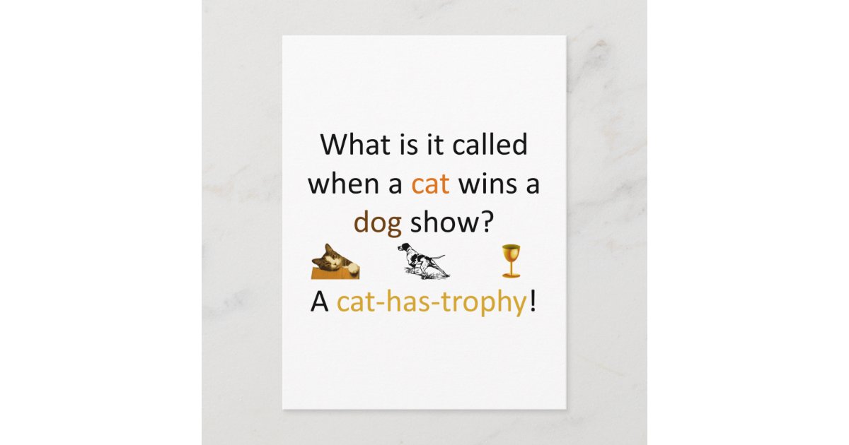 Cat-has-trophy Postcard | Zazzle