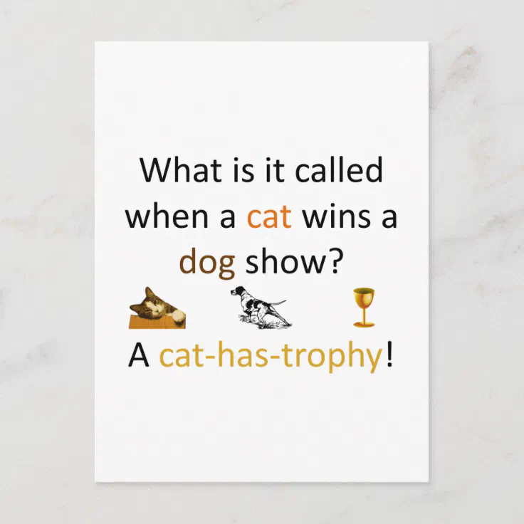 Cat-has-trophy Postcard | Zazzle