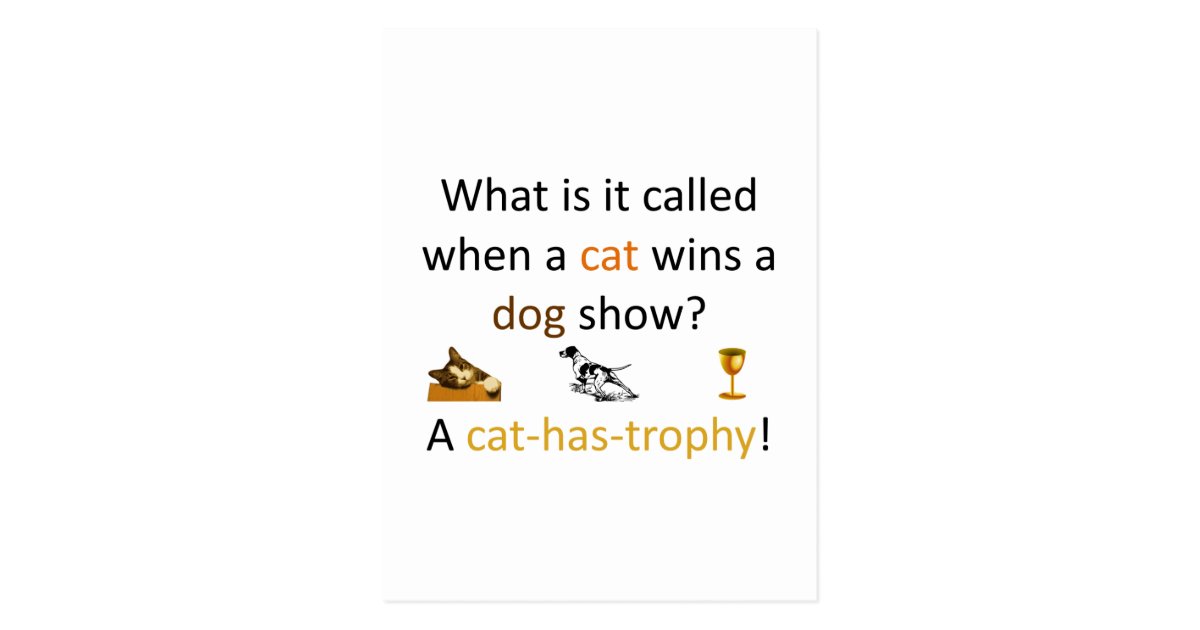 Cat-has-trophy Postcard | Zazzle.com
