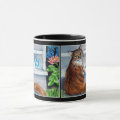 Cat hobo sign, kind lady lives here mug | Zazzle
