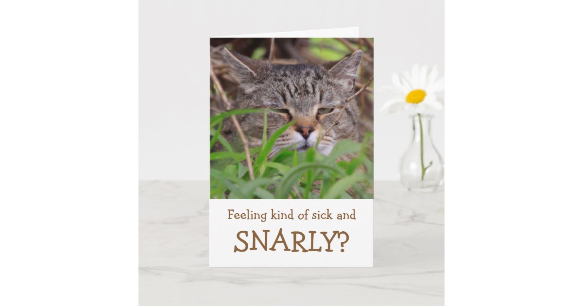 Cat Humor Get Well Card | Zazzle