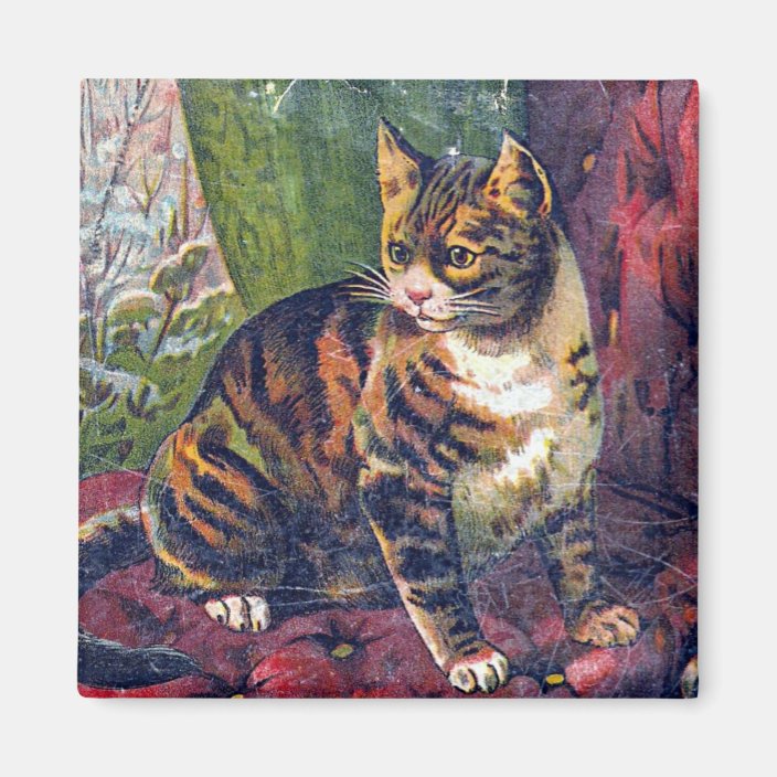 Cat In Chair Magnet | Zazzle.com