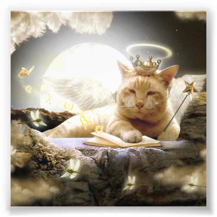 Cat in heaven Photo Prints. | Zazzle