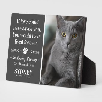 Cat In Loving Memory Photo Modern Memorial Plaque | Zazzle