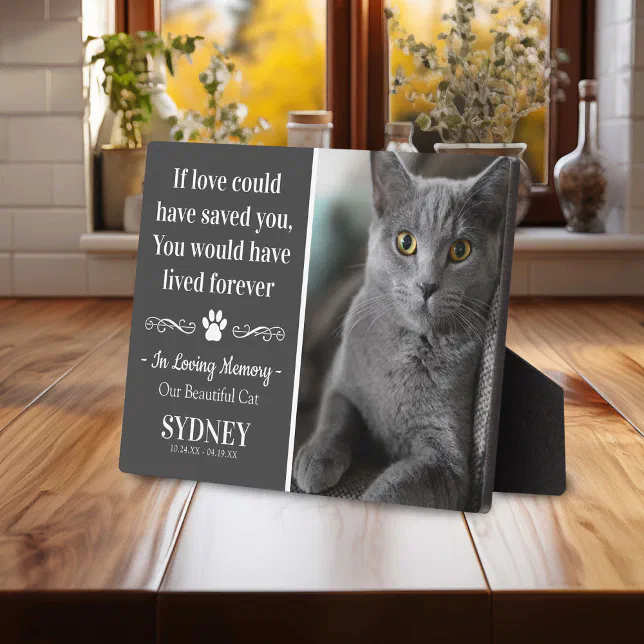 Cat In Loving Memory Photo Modern Memorial Plaque | Zazzle
