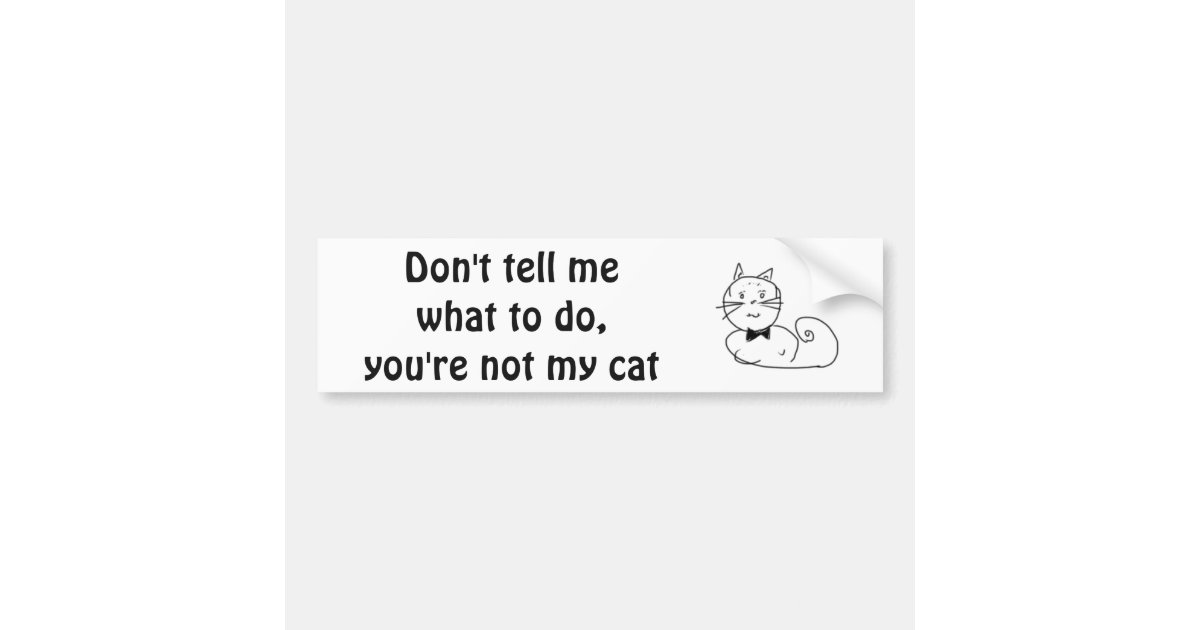 Cat is my boss bumper sticker | Zazzle