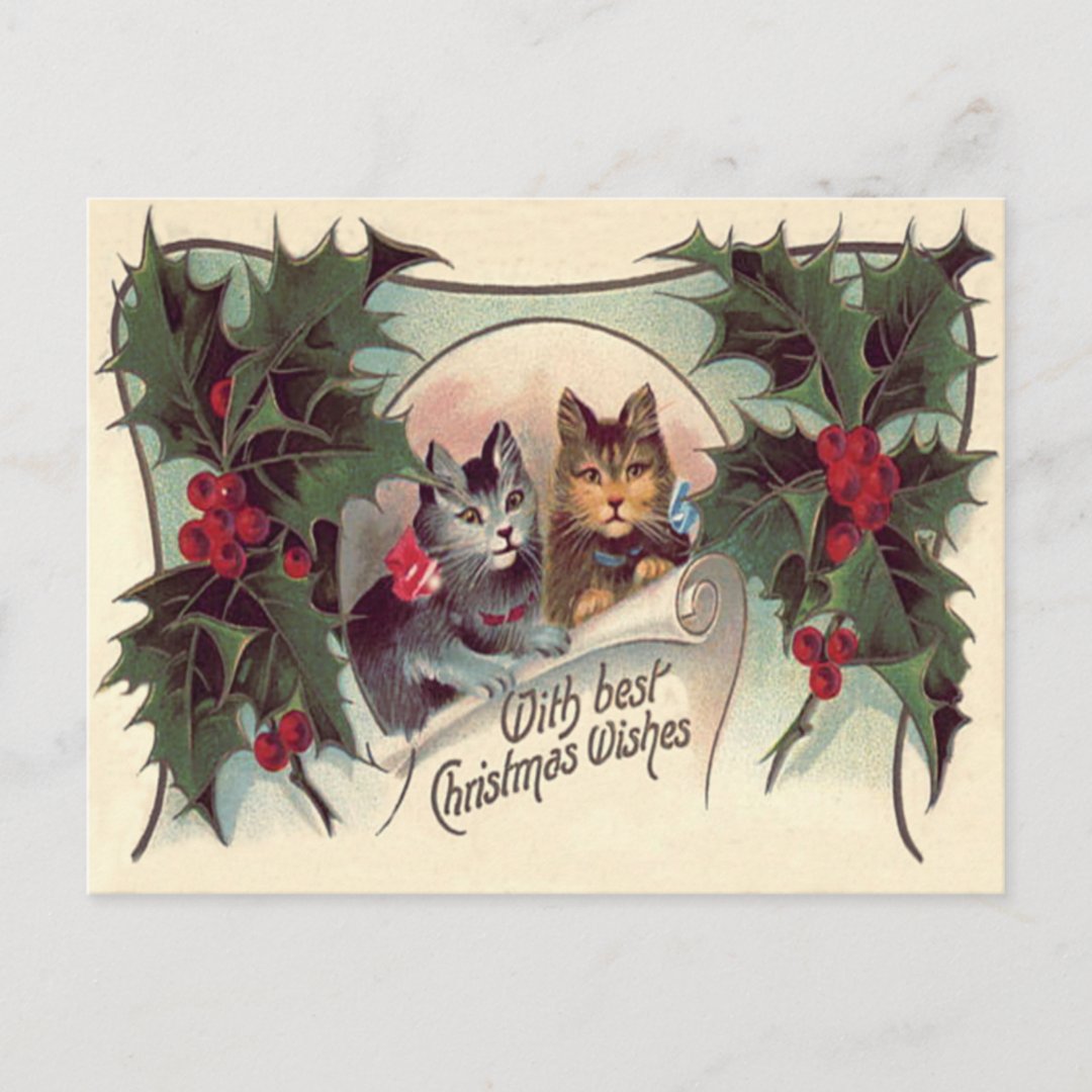 Cat Kitten Holly Postcard | Zazzle