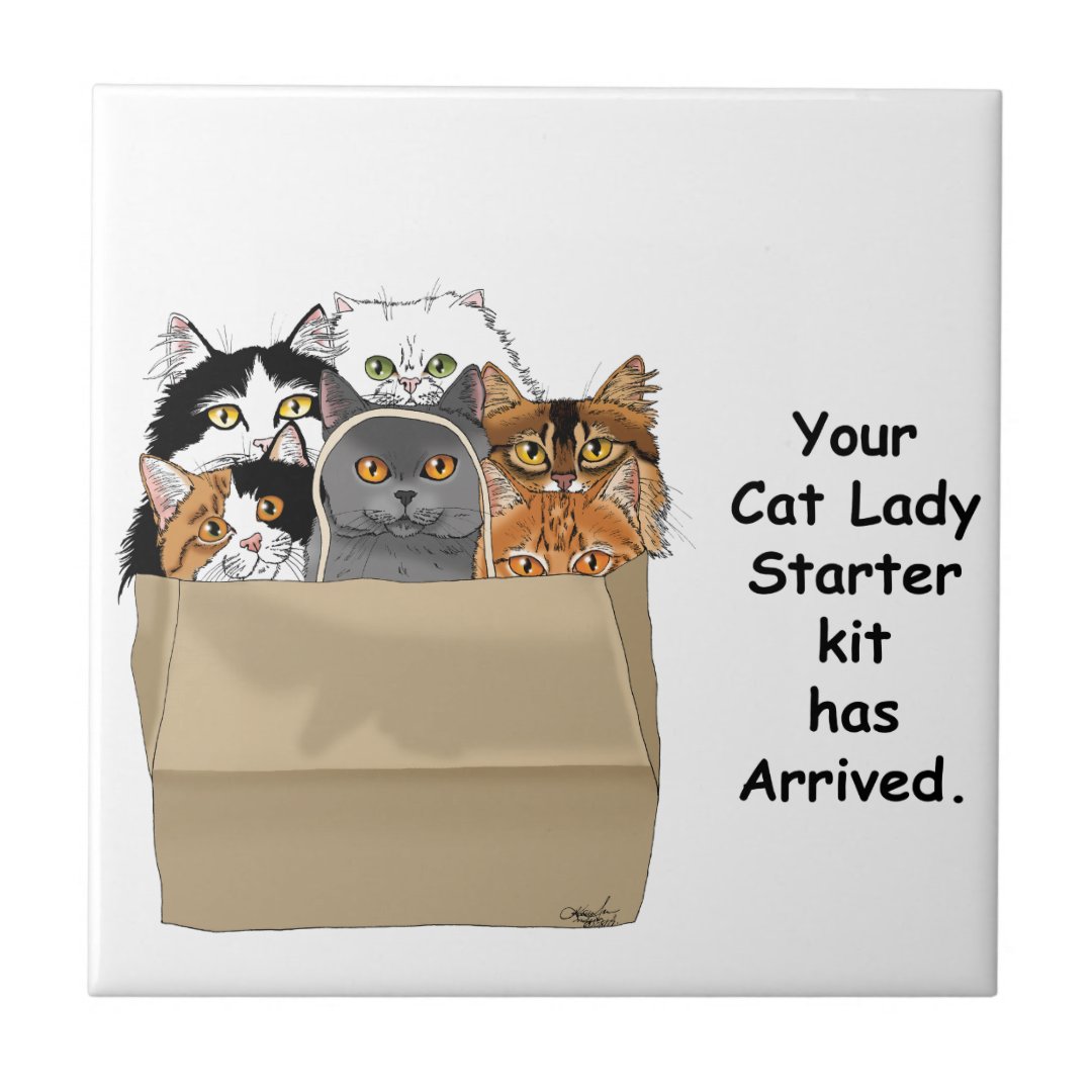 Cat Lady Starter Kit Ceramic Tile | Zazzle