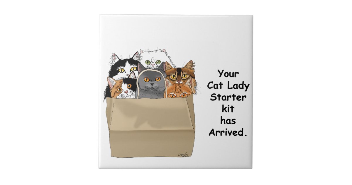 Cat Lady Starter Kit Ceramic Tile | Zazzle