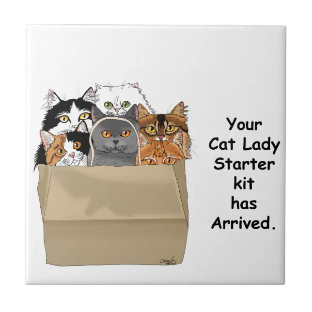 Cat Lady Starter Kit Ceramic Tile | Zazzle