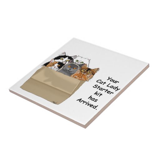 Cat Lady Starter Kit Ceramic Tile | Zazzle
