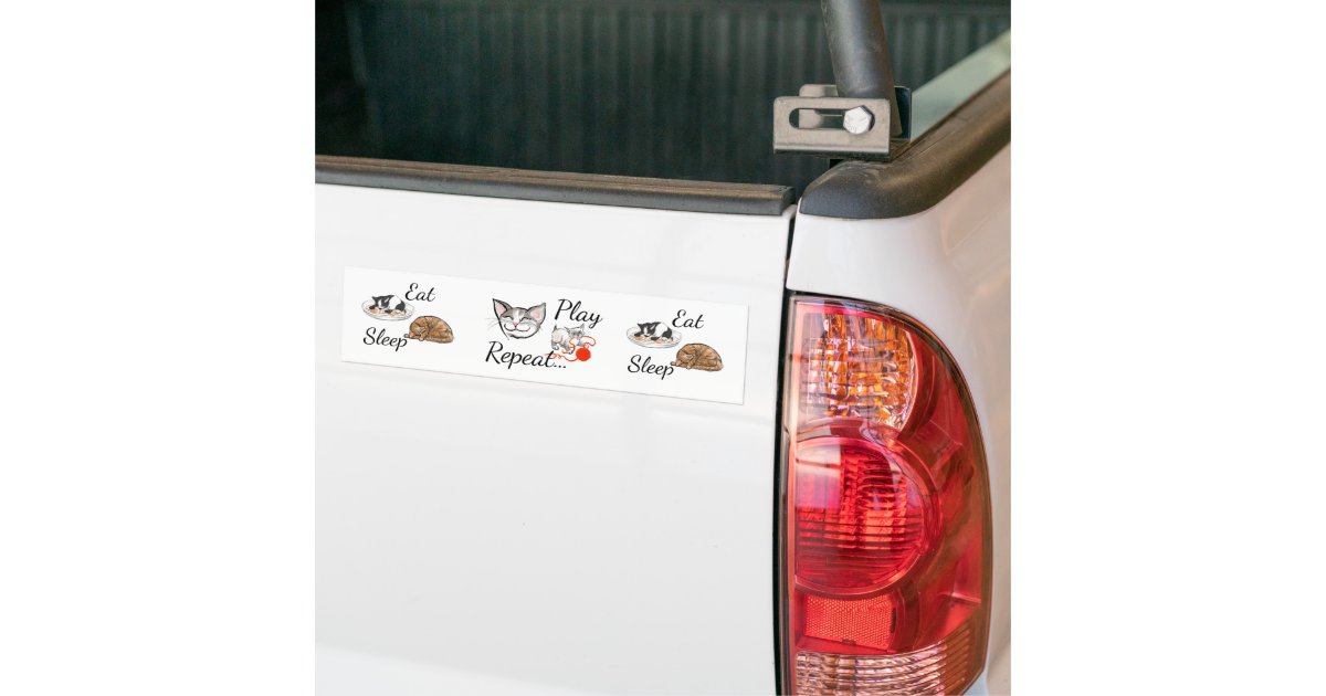 Cat life Bumper Sticker | Zazzle