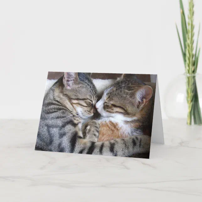 Cat Love Card | Zazzle