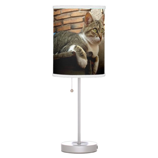 Cat Lovers Table Lamp | Zazzle.com