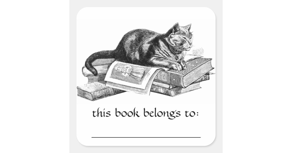 Cat Lying On Books Bookplate Stickers | Zazzle