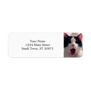 Funny Return Address Labels | Zazzle