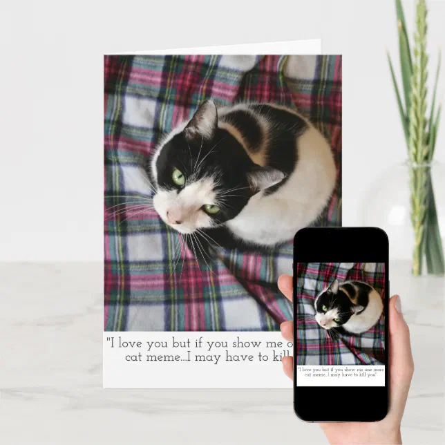 Cat Meme Greetings Card | Zazzle