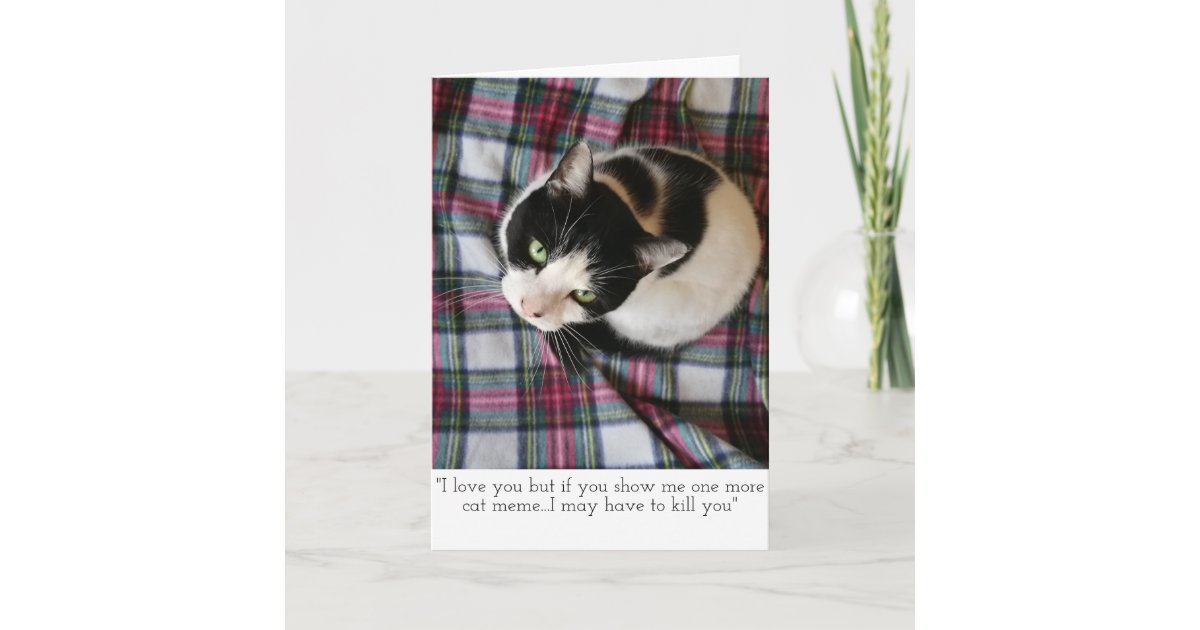 Cat Meme Greetings Card | Zazzle