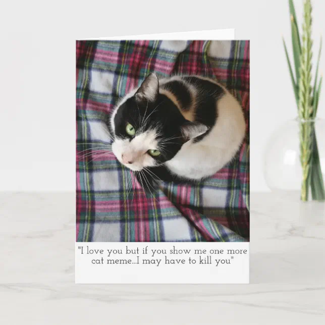 Cat Meme Greetings Card | Zazzle