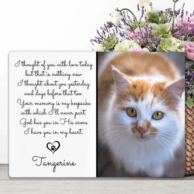 Cat Memorial Gift - Pet Loss Sympathy Photo Plaque | Zazzle