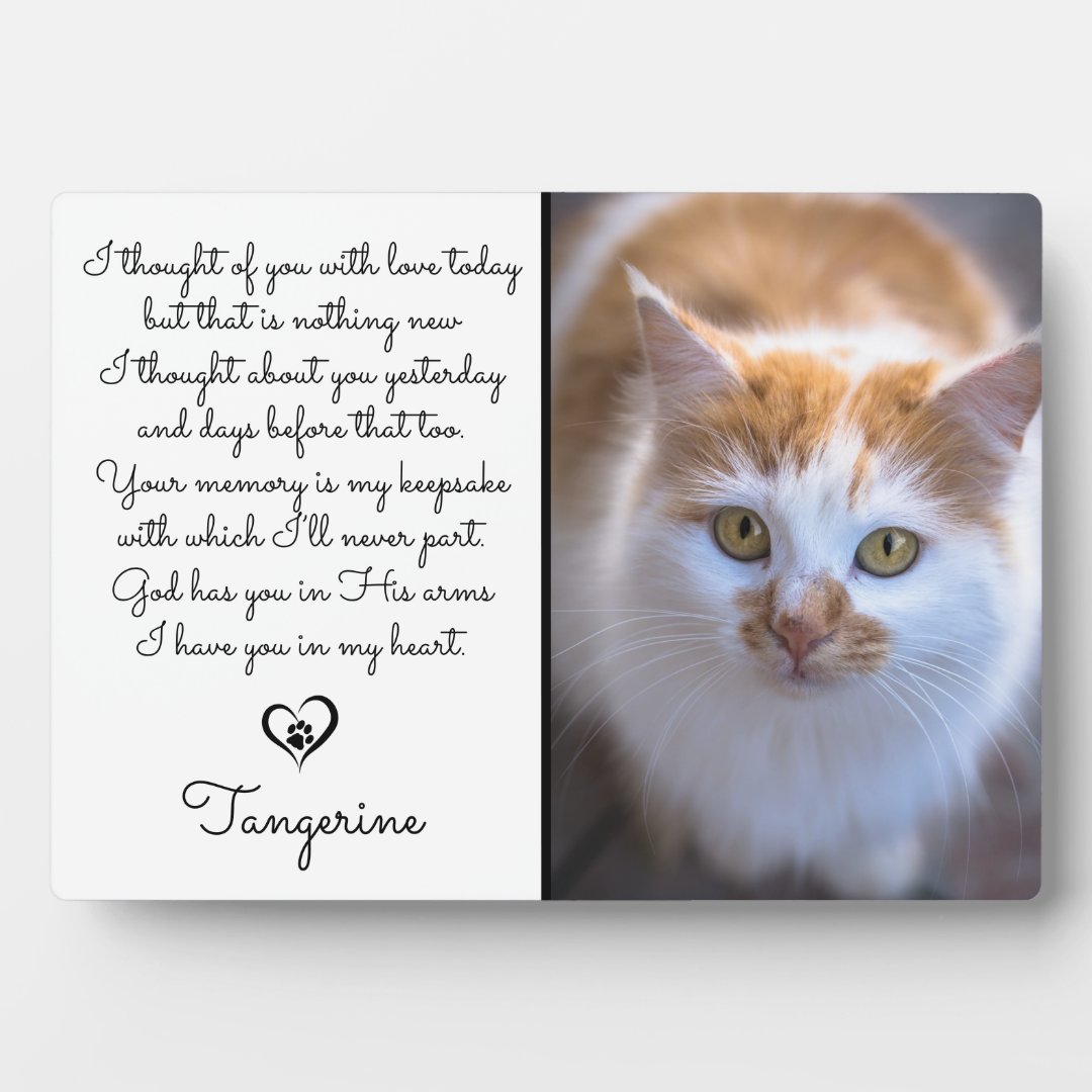 Cat Memorial Gift - Pet Loss Sympathy Photo Plaque | Zazzle