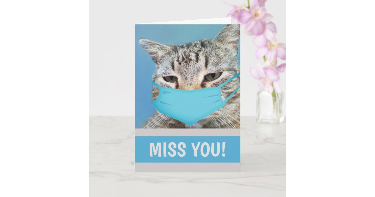 Cat Miss You A Lot Card | Zazzle