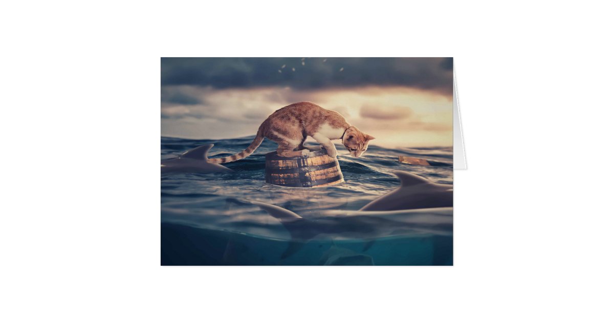 Cat Nap Dream or Nightmare | Zazzle