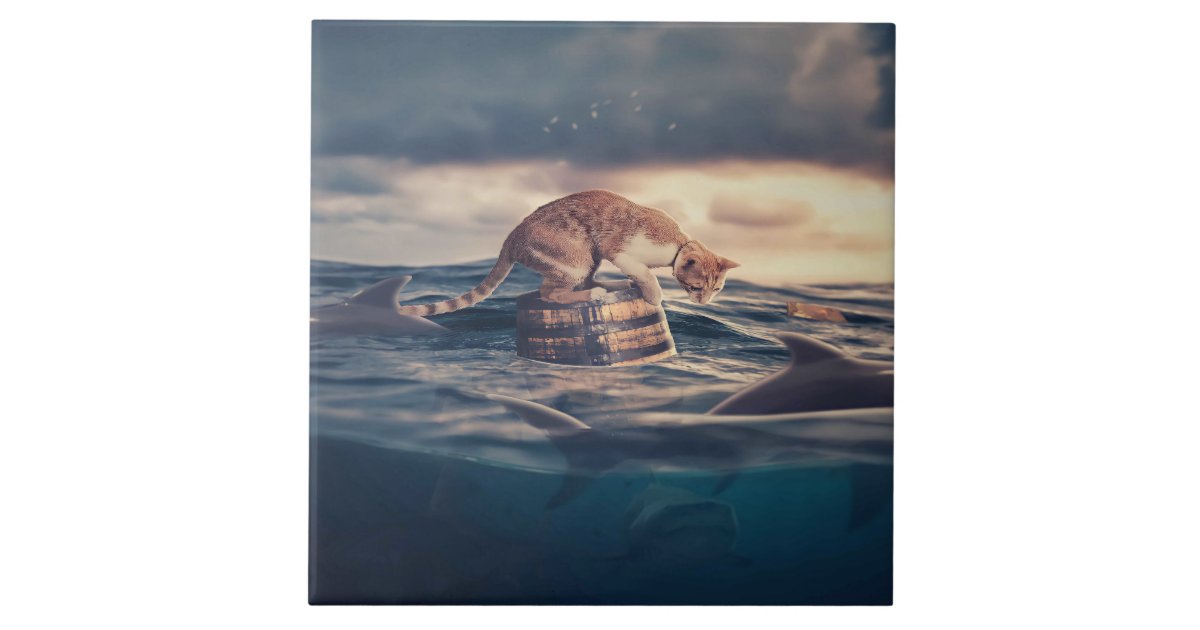 Cat Nap Dream or Nightmare Ceramic Tile | Zazzle