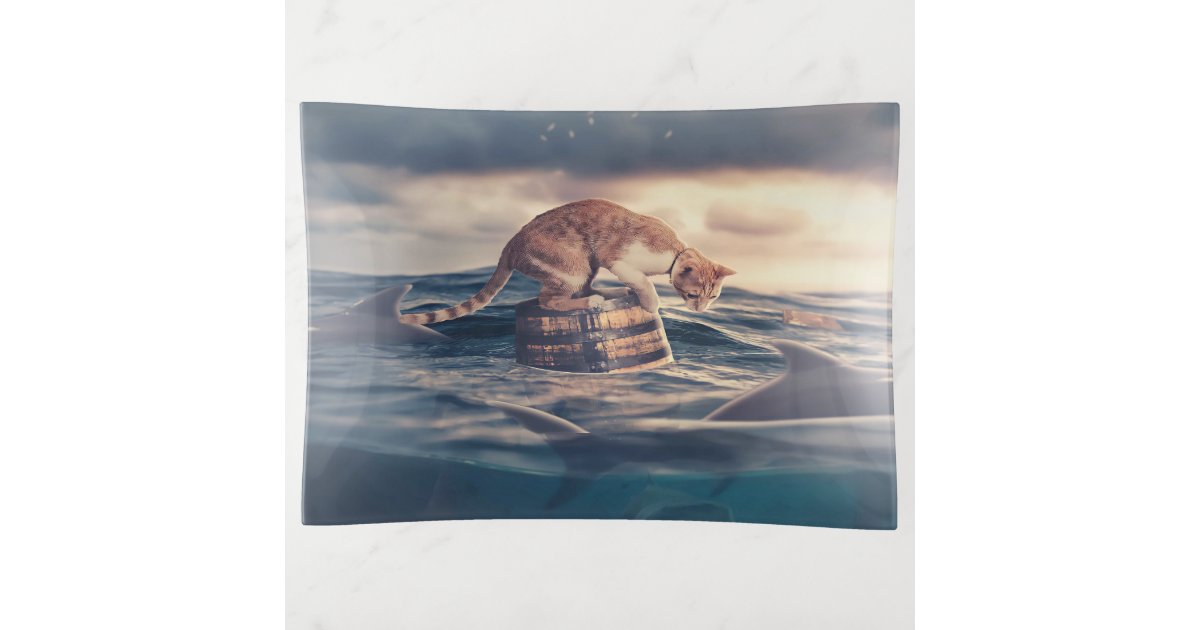 Cat Nap Dream or Nightmare Trinket Tray | Zazzle