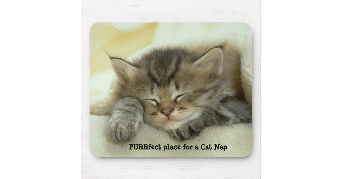 Cat Nap Mousepad | Zazzle