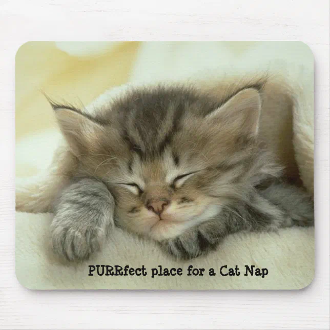 Cat Nap Mousepad | Zazzle