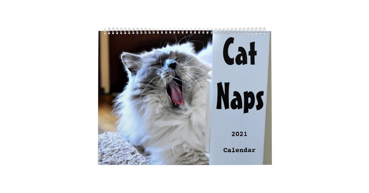 Cat Naps 2021 Calendar | Zazzle