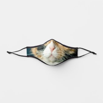 Cat Nose Calico Adult Premium Face Mask | Zazzle